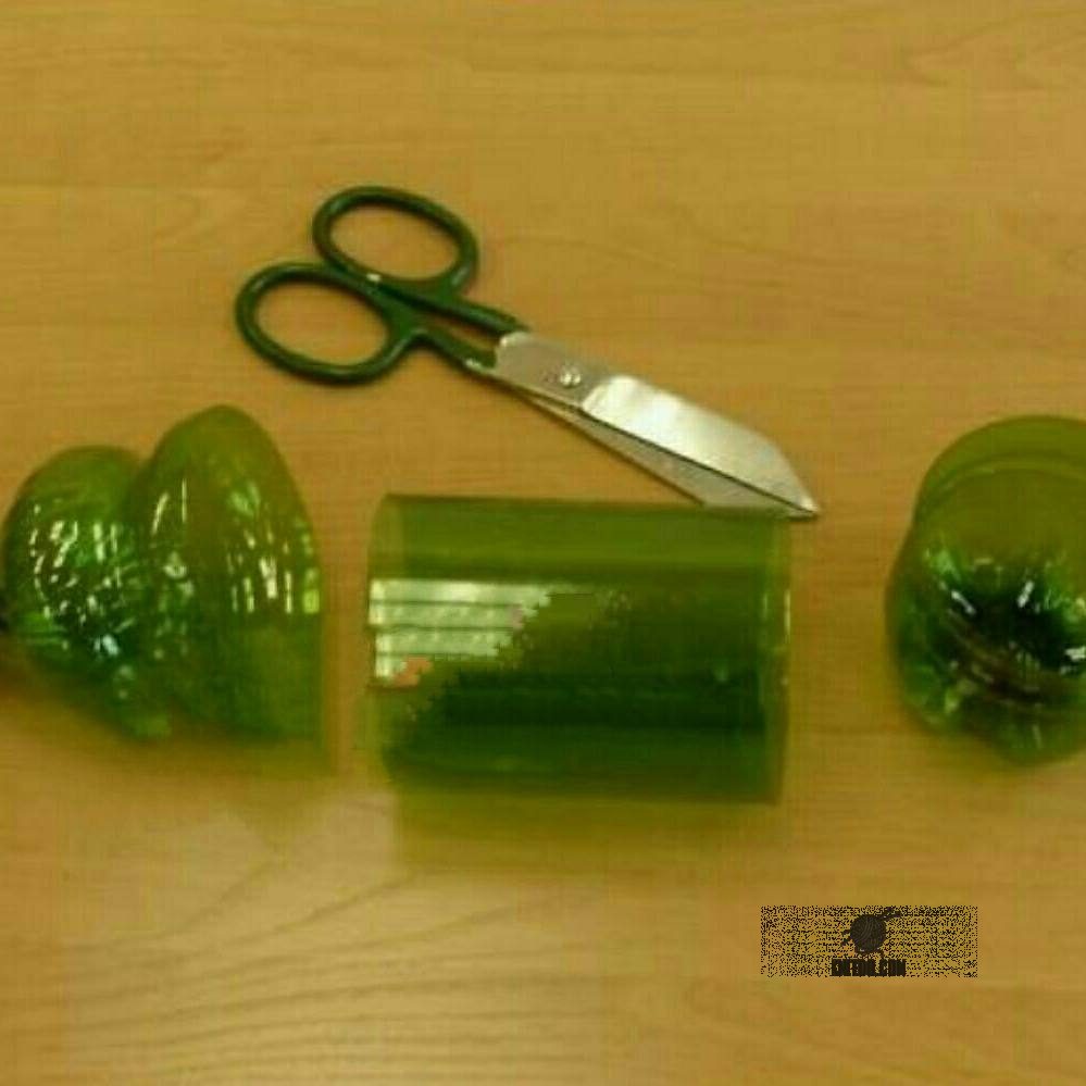 PINE TREE WITH SODA CANS